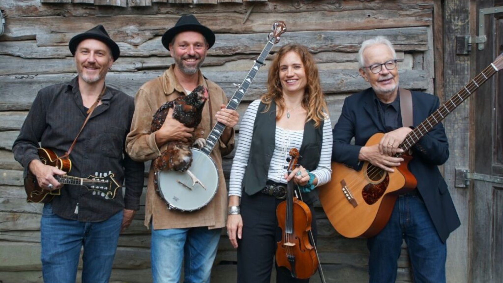 The Chicken Ruckus – Ostschweizer Kulturmagazin Saiten