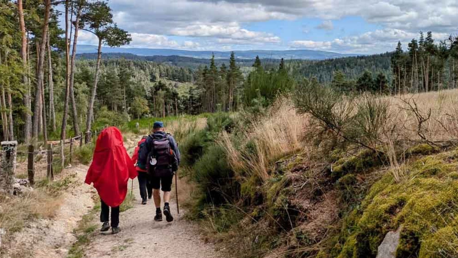 Erlebnisbericht einer Pilgerreise von Genf nach Santiago de Compostel ...