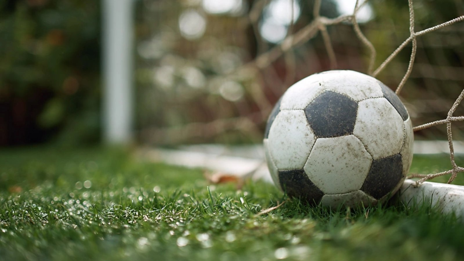 Länderspiel Schweiz - Jordanien im kybunpark – Ostschweizer ...